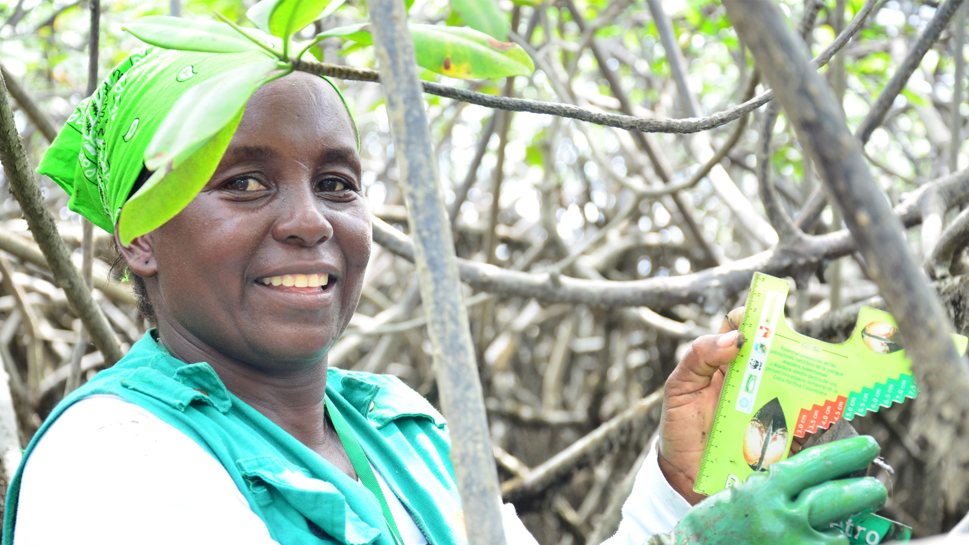 Ruta de la Piangua – Ecomanglar – Archipiélago de La Plata, Bahía Málaga